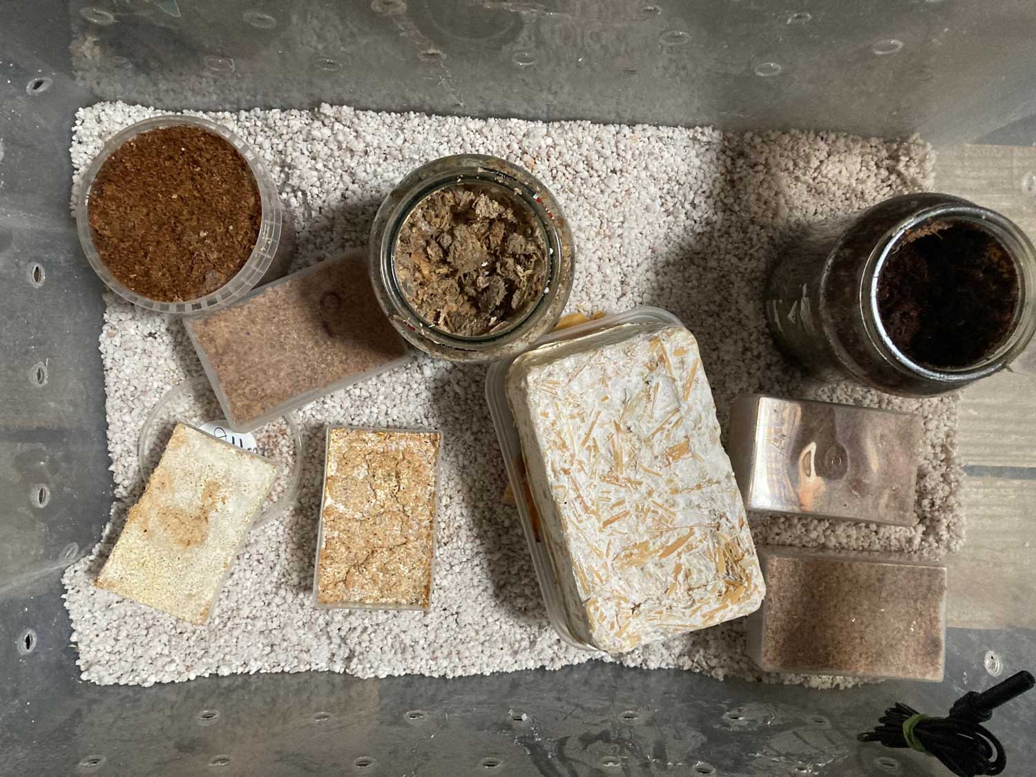 What are 'biomaterials'? - Science and Industry Museum blog